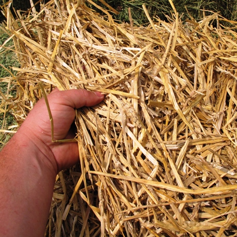 Idiom that means trying to save something that is beyond saving ...